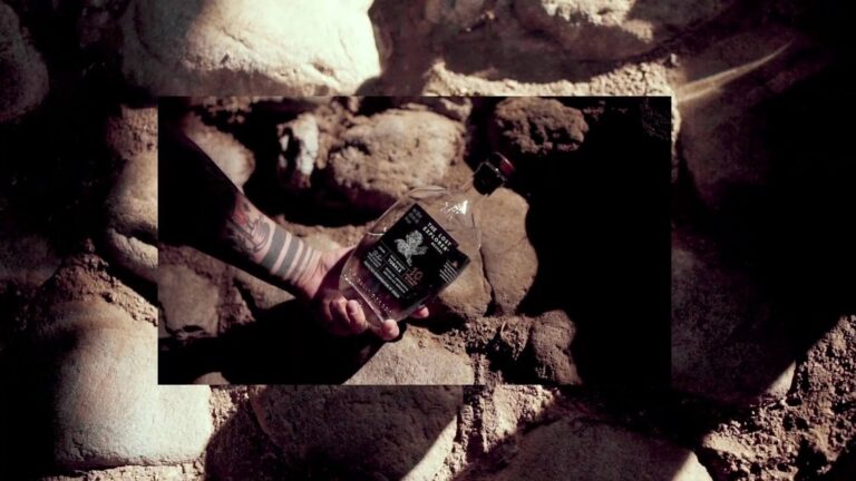 What is Tobala Mezcal? Everything You Need to Know About Tobala Agave ...